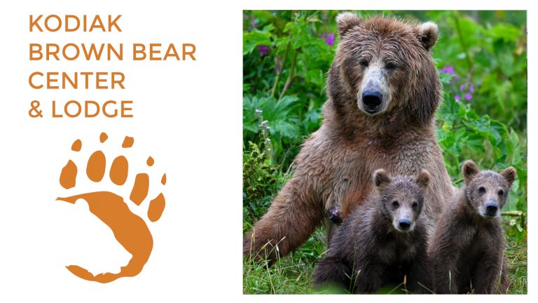 Bear Facts Archives — Kodiak Bear Center and Lodge